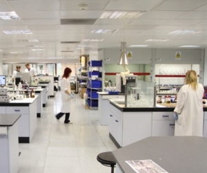 Homepage - Lab Servant