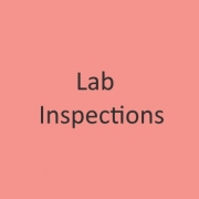 Homepage - Lab Servant